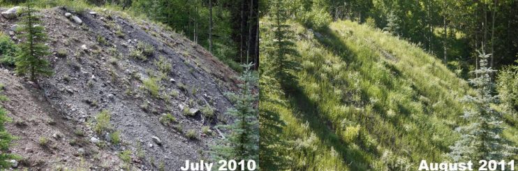 Hope Mine Biochar Project | BioEnergy Lists: Biochar Mailing Lists